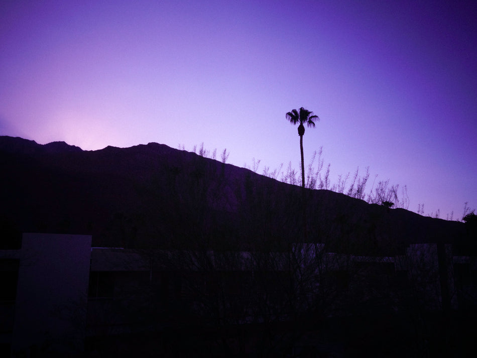 THE SMASHING PUMPKINS X LOLA JAMES HARPER - PURPLE FUZZ by Thomas Durin